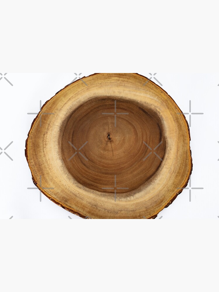 "Tree Stump cut out " Poster for Sale by lizziemaher | Redbubble