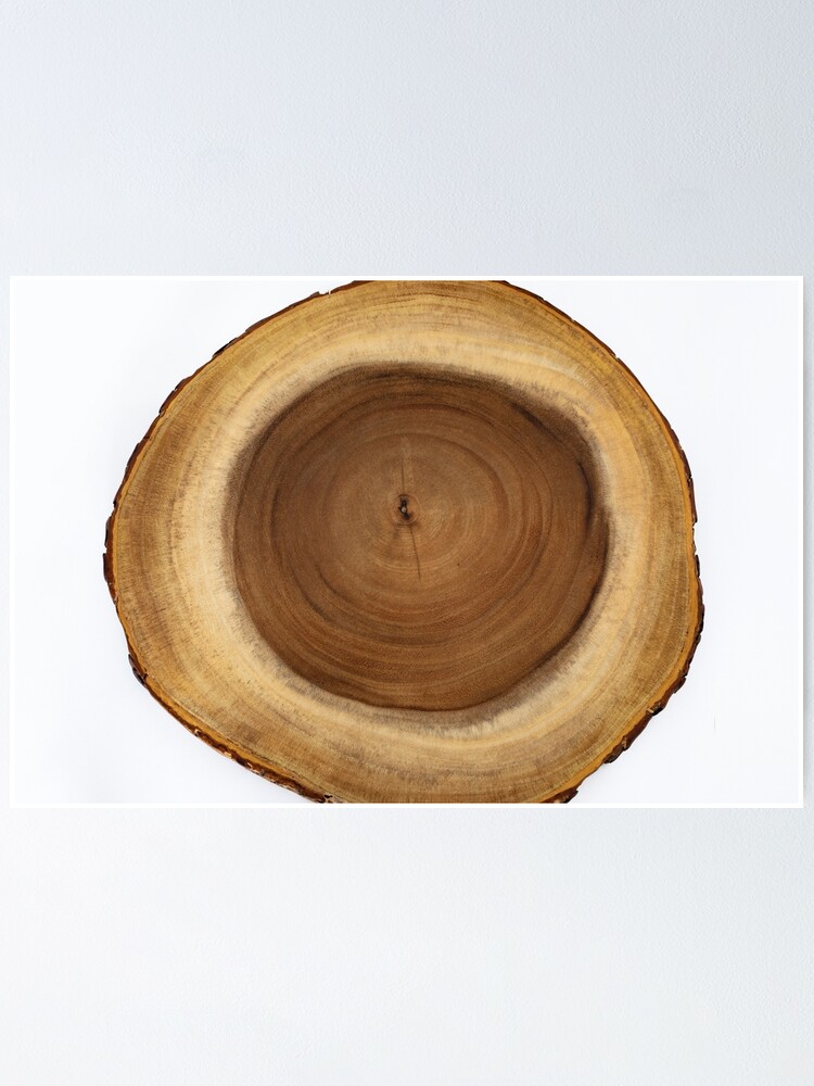 "Tree Stump cut out " Poster for Sale by lizziemaher | Redbubble
