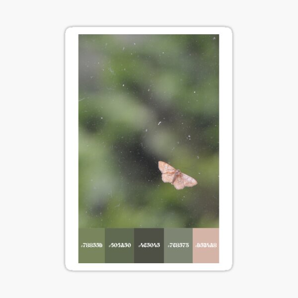 "Moth on a Dirty Window Color Palette [Rectangles]" Sticker by ...