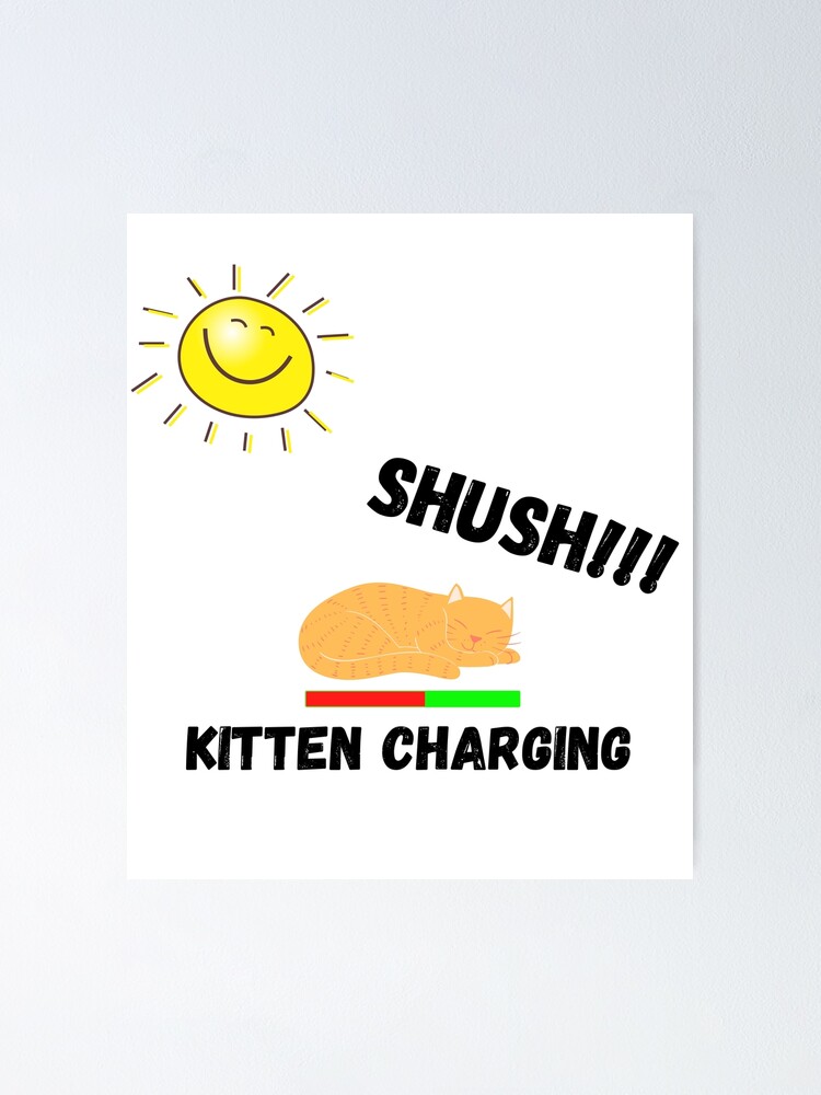 "Shhhhh!!! kitty is recharging in the sun." Poster for Sale by Jimmy ...