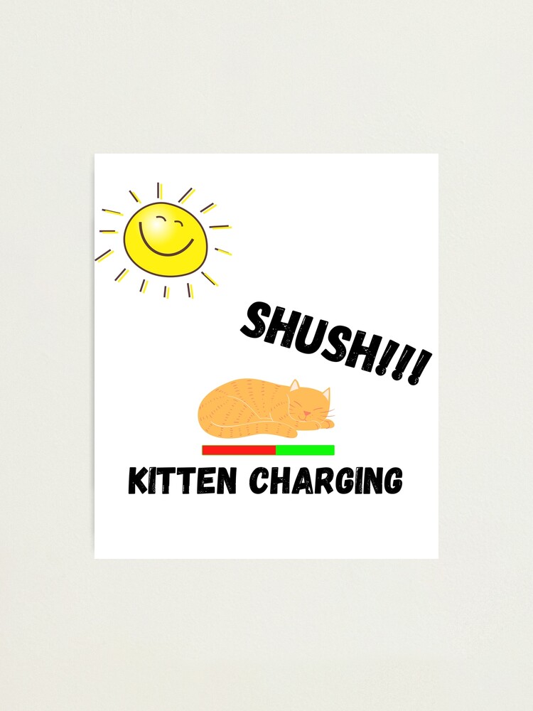 "Shhhhh!!! kitty is recharging in the sun." Photographic Print for Sale ...