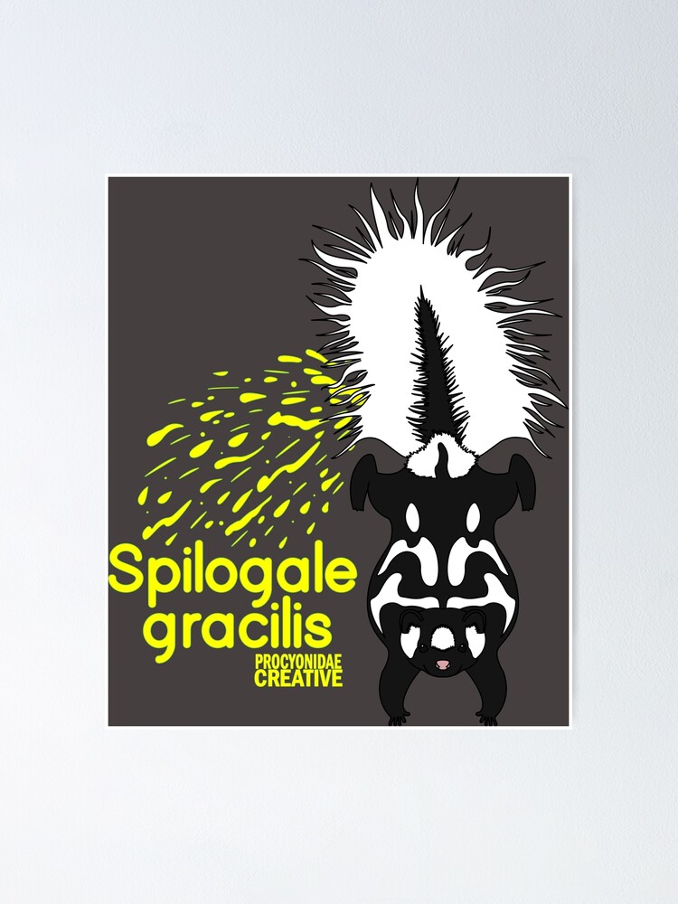 "Western spotted skunk" Poster for Sale by Procyonidae Creative | Redbubble