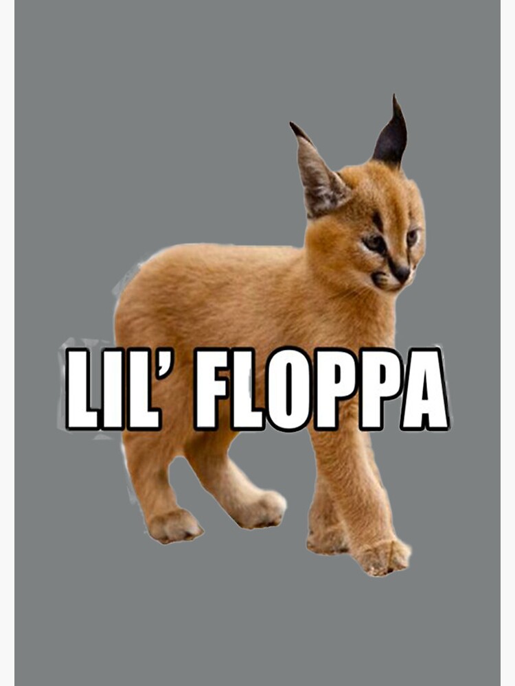 "Floppa Peeker Meme späht Big Floppa Baby Caracal" Spiralblock von ...