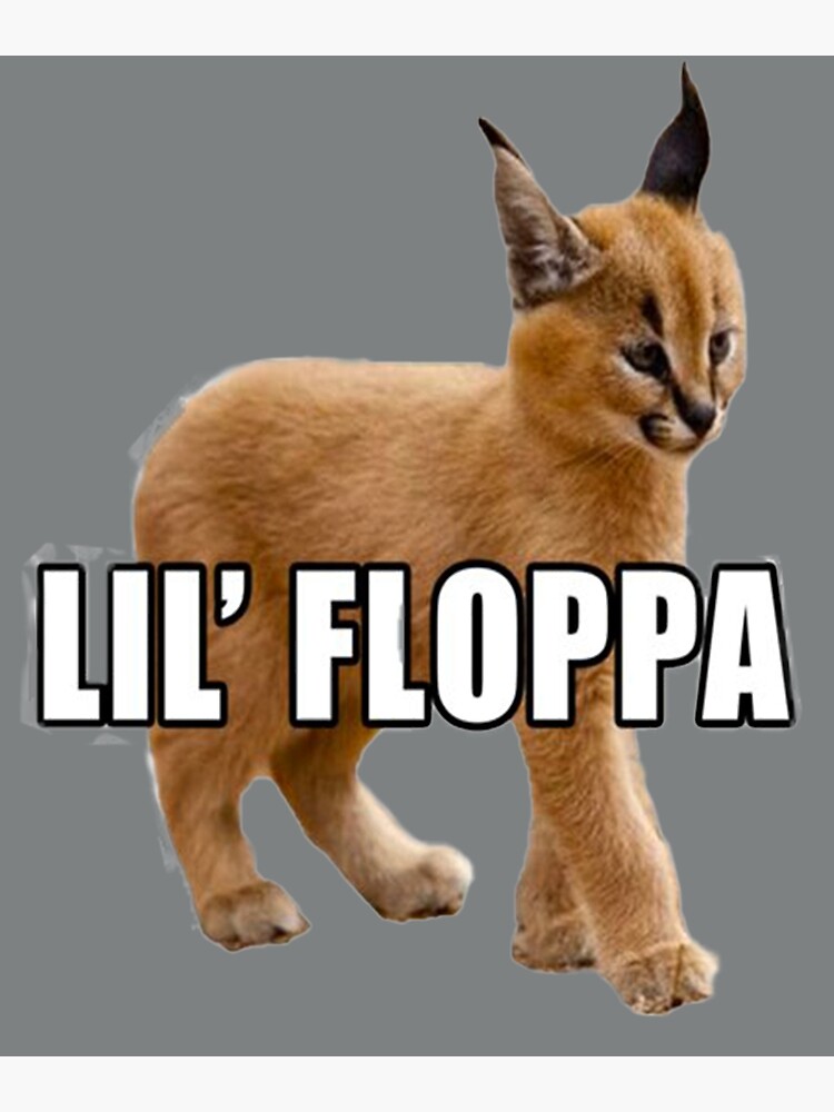 Lámina metálica «Floppa peeker meme mirando a escondidas Big floppa ...