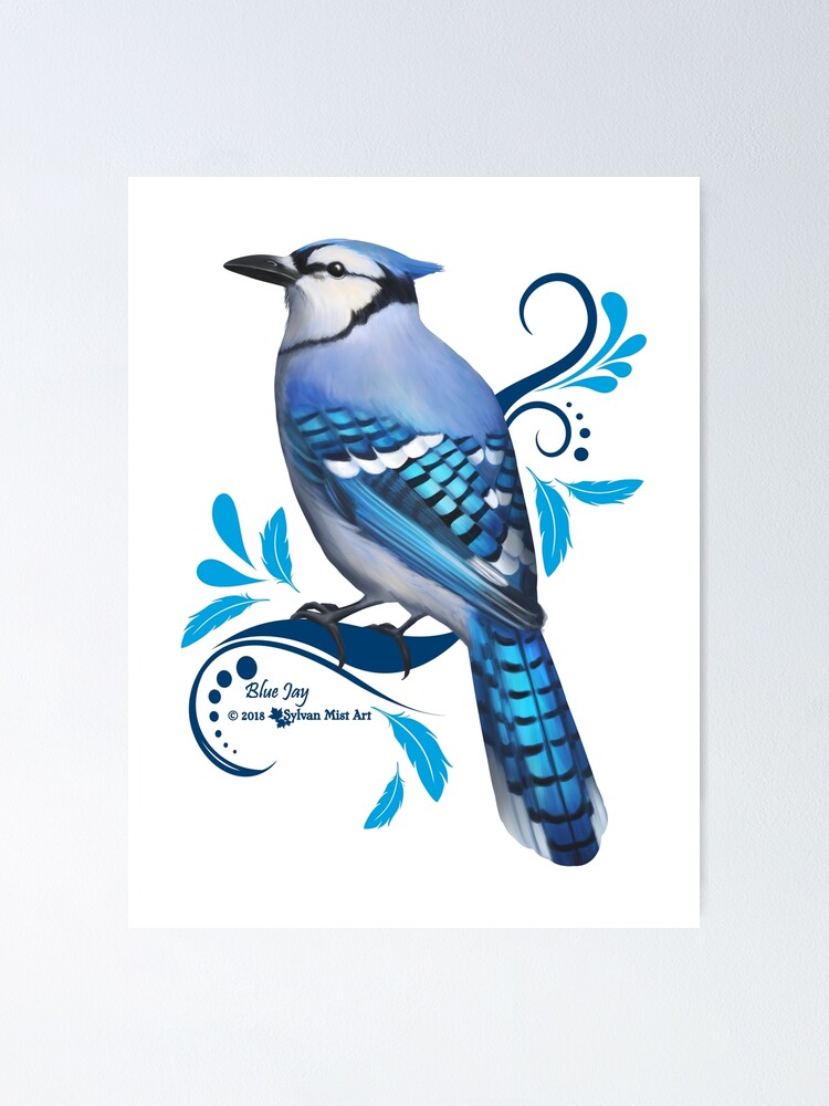 Art & Collectibles Blue Jay Poster Print Digital Prints Prints etna.com.pe