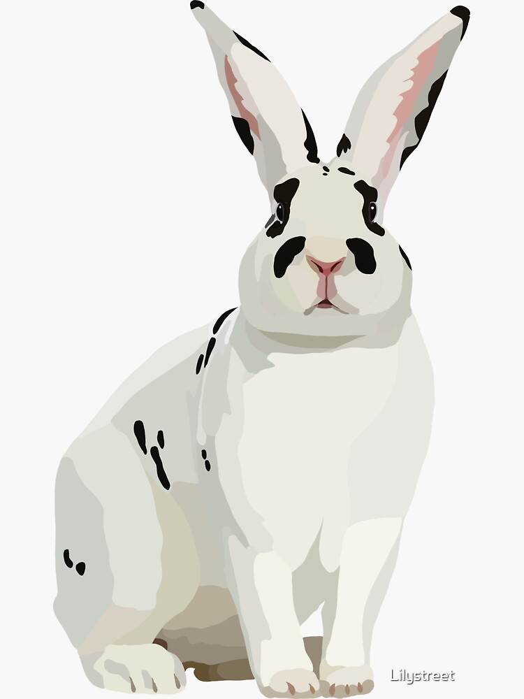"Spotted Rex Rabbit" Sticker by Lilystreet | Redbubble