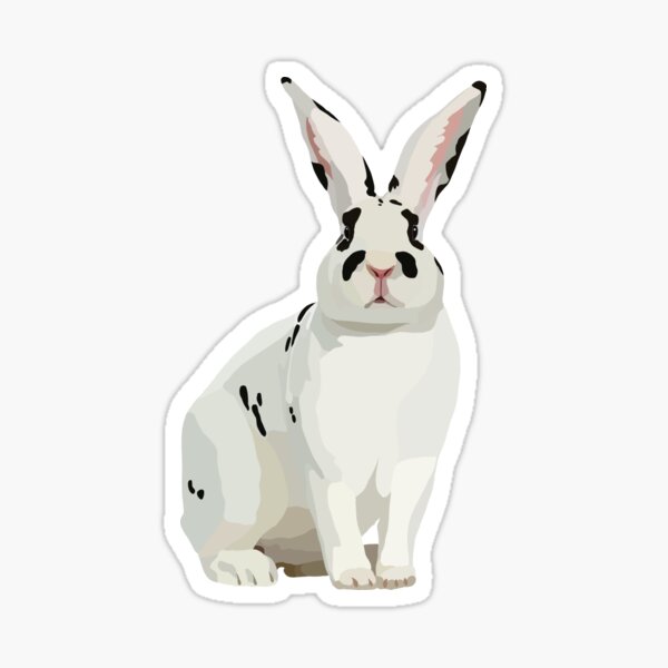 "Spotted Rex Rabbit" Sticker by Lilystreet | Redbubble