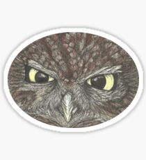 Angry Eyes: Stickers | Redbubble