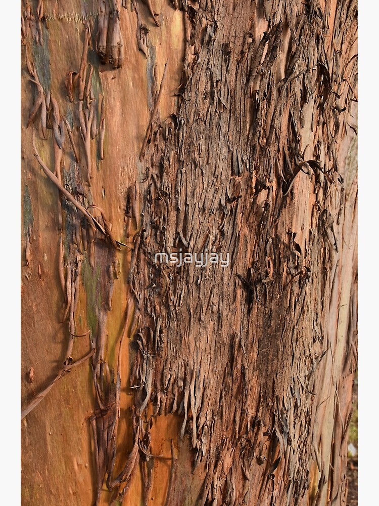 "Gum tree bark" Poster for Sale by msjayjay | Redbubble