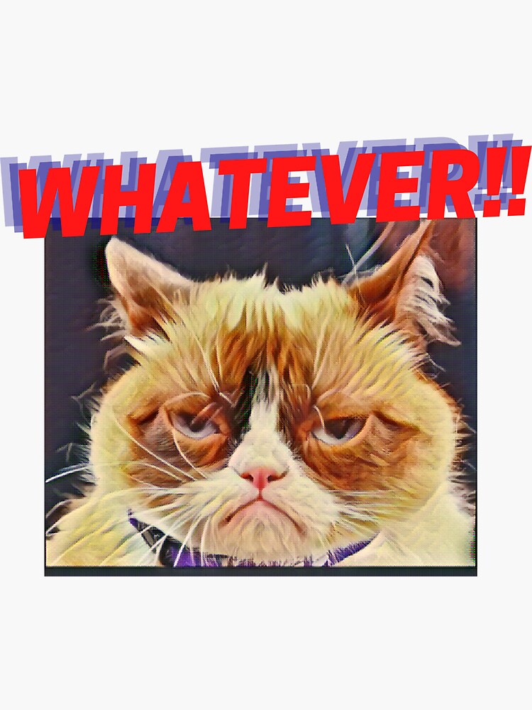 "Angry Garfield Cat Meme Windel Print" Sticker for Sale by polaastuffs ...