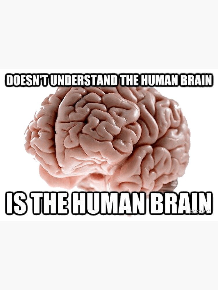 Human Brain Memes Thanks Brain Meme Picture | Webfail Fail