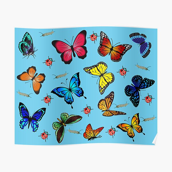 "Butterflies, caterpillars and ladybirds" Poster for Sale by Bogarka ...