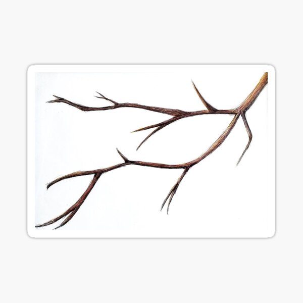 "Tree branch" Sticker for Sale by Rachel-Malfoy | Redbubble