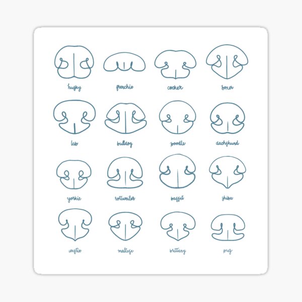 "Boop That Snoot - Blue Dog Noses" Sticker for Sale by SamySideUp ...