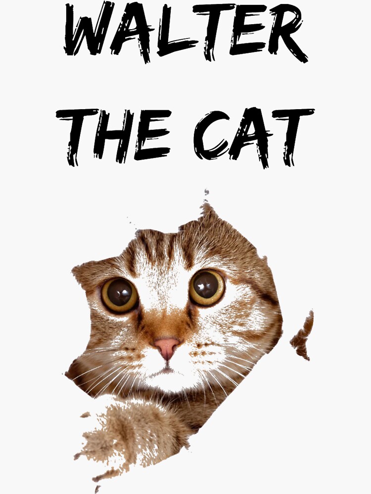 "Walter the cat " Sticker by Lamerda20 | Redbubble