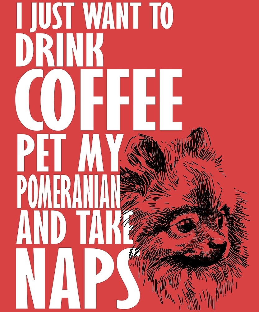 "Pomeranian & Nap " by AlwaysAwesome | Redbubble