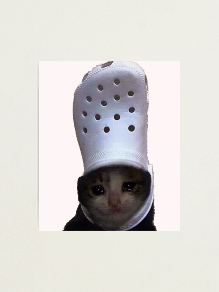 Meme A Cricchetto Tumblr