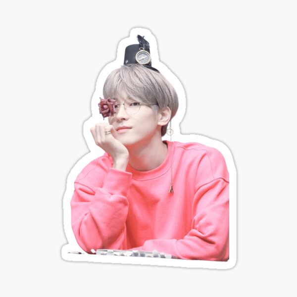 "Wonwoo Pink power" Sticker by B-Monalisa | Redbubble