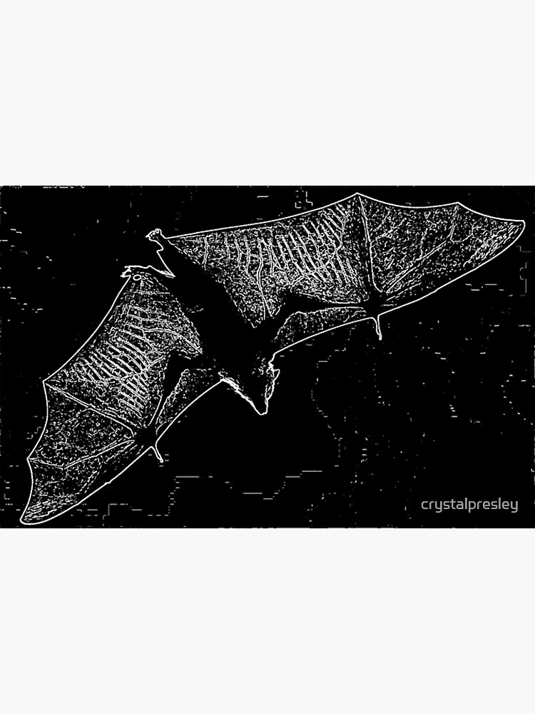 "batty for bats" Sticker by crystalpresley | Redbubble