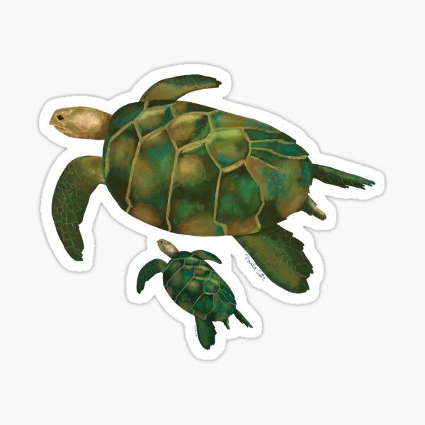 "magic turtle with his baby" Sticker by PauwieArtStudio | Redbubble