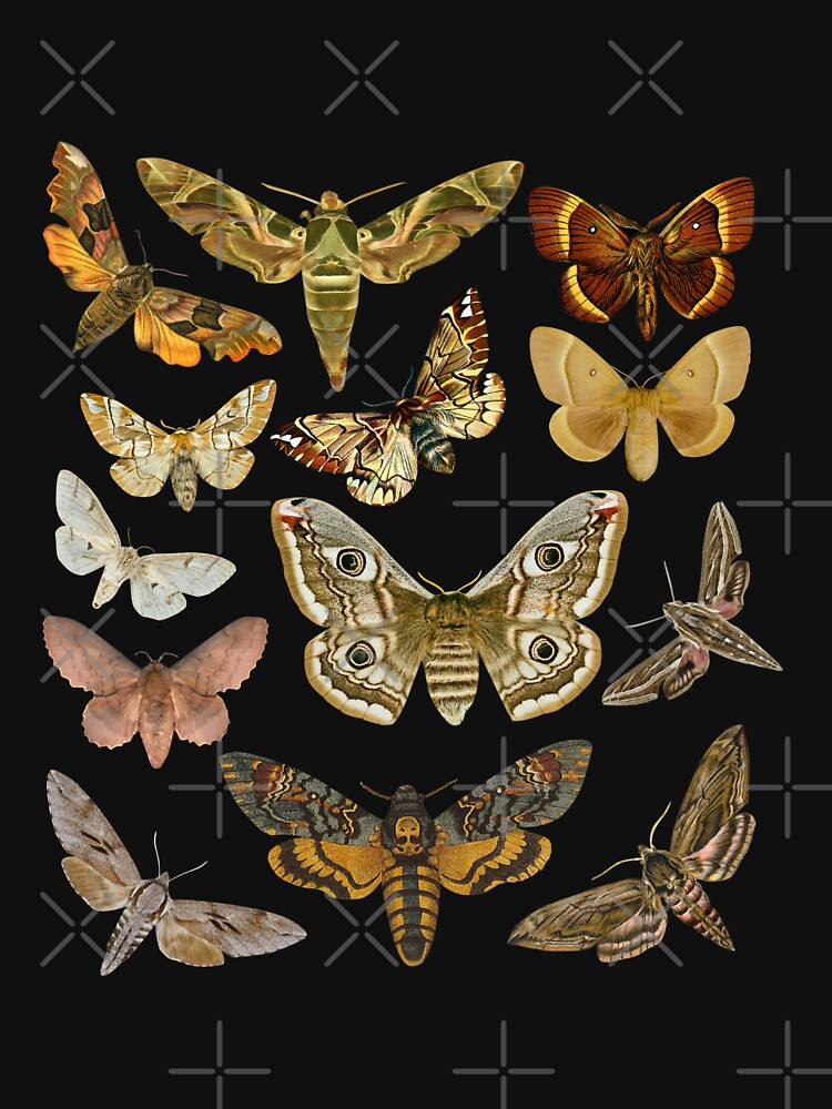 "Moth Goblincore Dark Academia Cottagecore Aesthetic" T-shirt for Sale ...