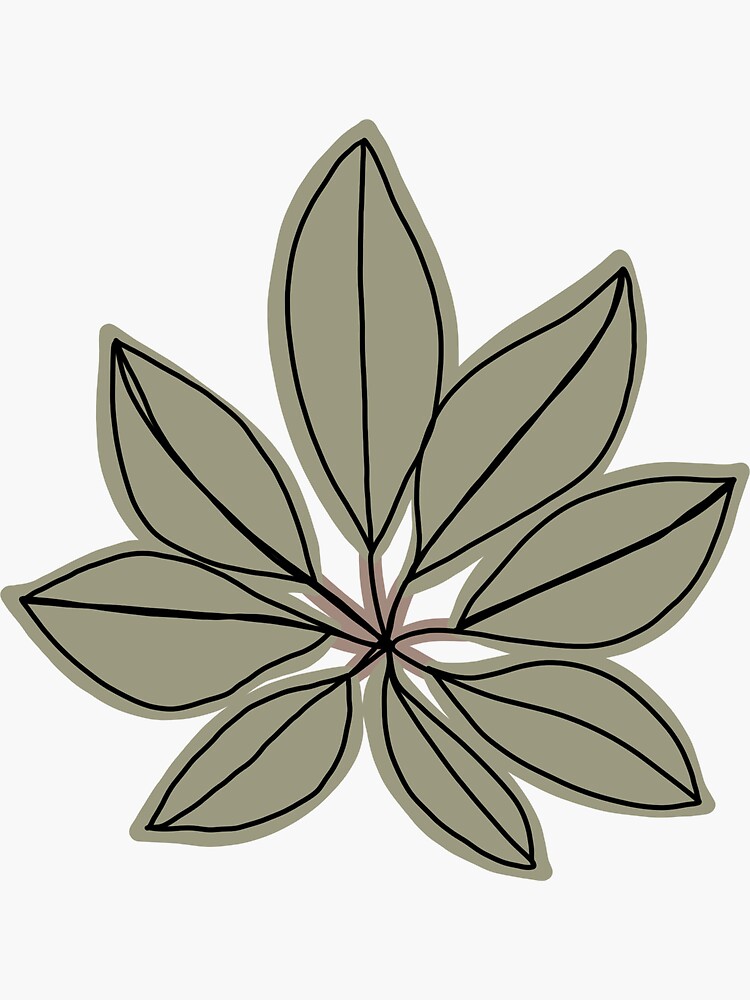 "Sage Green Line Leaf" Sticker by EmMccollister | Redbubble