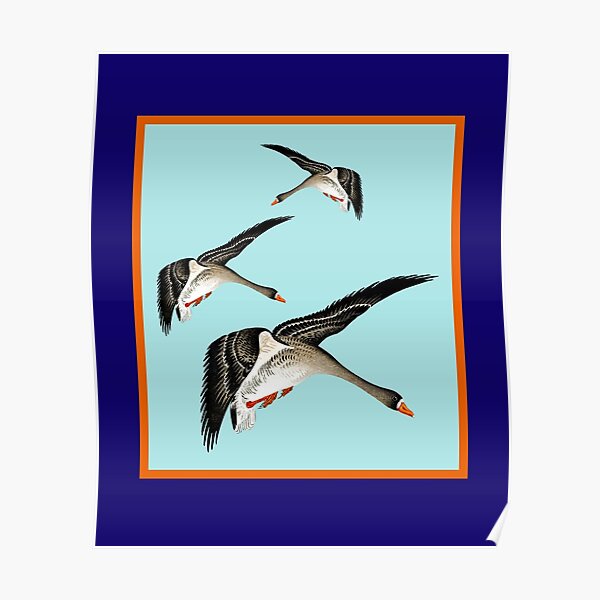 "Flying Geese" Poster for Sale by artistoutfitter | Redbubble