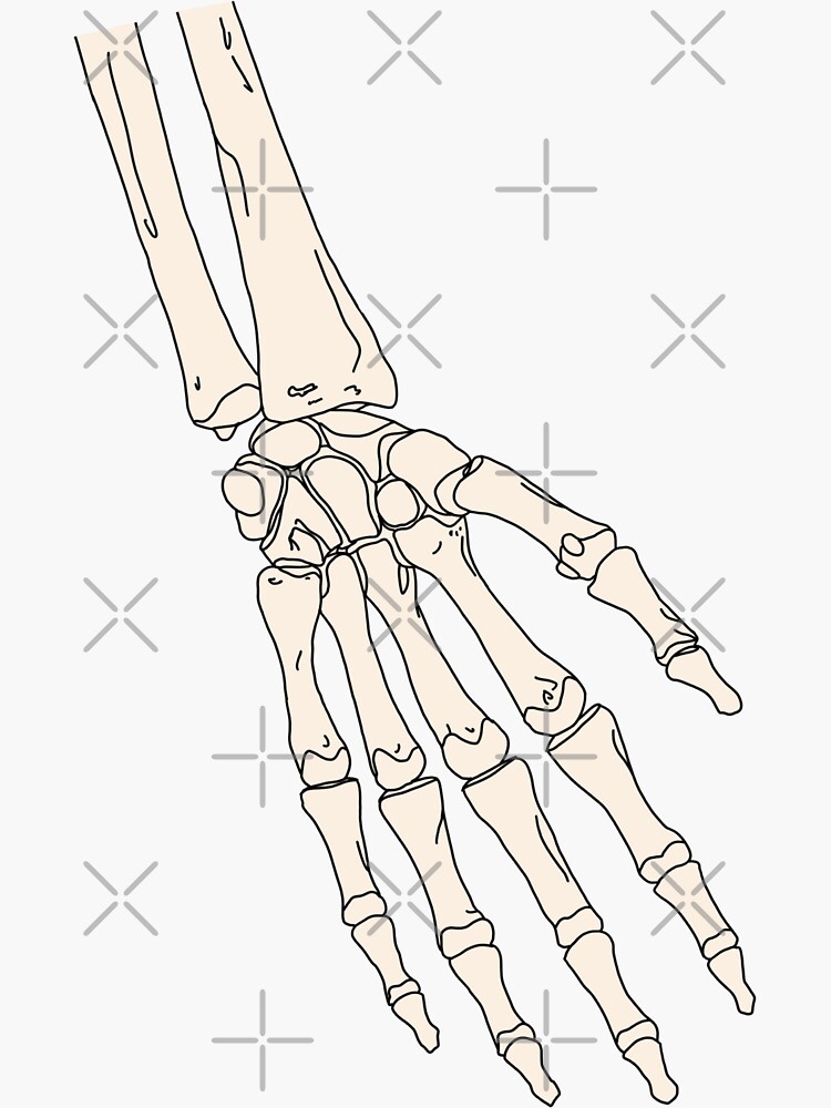 "Hand Line Art, Minimalist Wrist Skeleton Anatomy Medical artwork ...