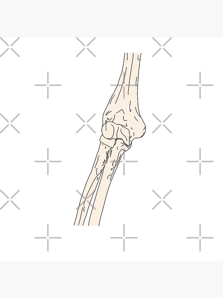 "Elbow Joint Line Art, Minimalist Humeroradial Humeroulnar Skeleton ...