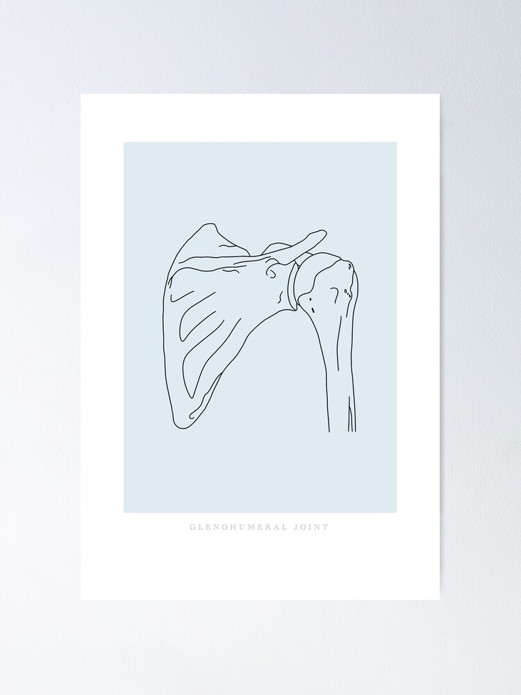 "Shoulder Joint Line Art, Minimalist Scapula Humerus Skeleton Anatomy ...