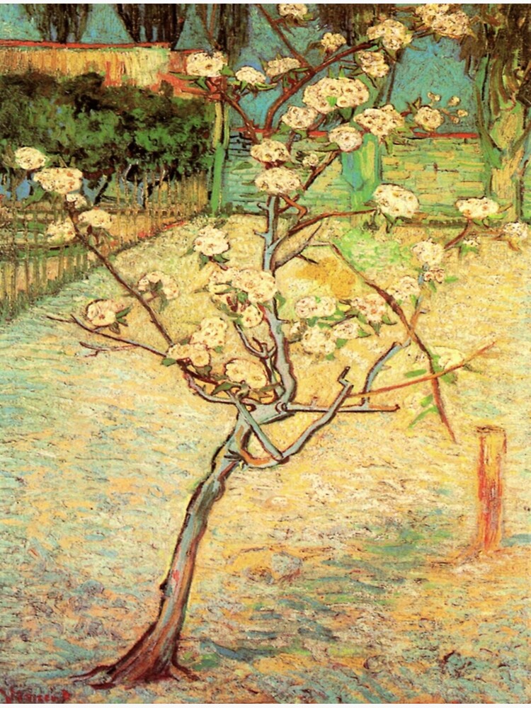 "Vincent van Gogh's Blossoming Pear Tree 1888" Sticker for Sale by ...