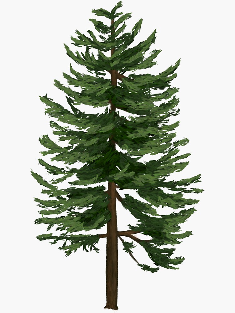 "The Sitka Spruce" Sticker for Sale by RobertConklin | Redbubble