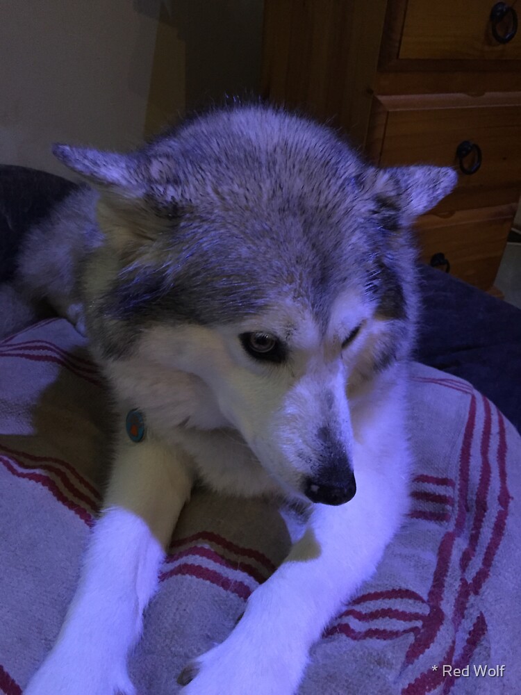 "Stink Eye" Sticker for Sale by redwolfoz | Redbubble