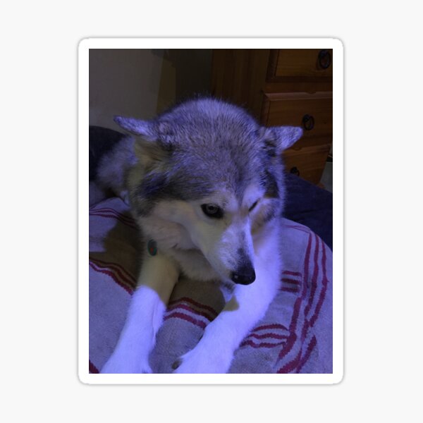 "Stink Eye" Sticker for Sale by redwolfoz | Redbubble