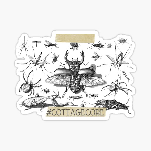 "Vintage Drawing Insects" Sticker for Sale by back-to-cottage | Redbubble