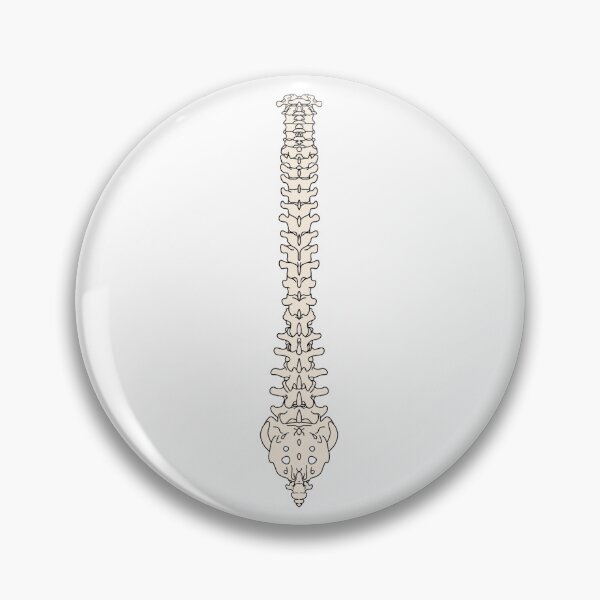 Chapa «Arte de línea de la columna vertebral de la columna vertebral ... Chapa «Arte de línea de la columna vertebral de la columna vertebral ...