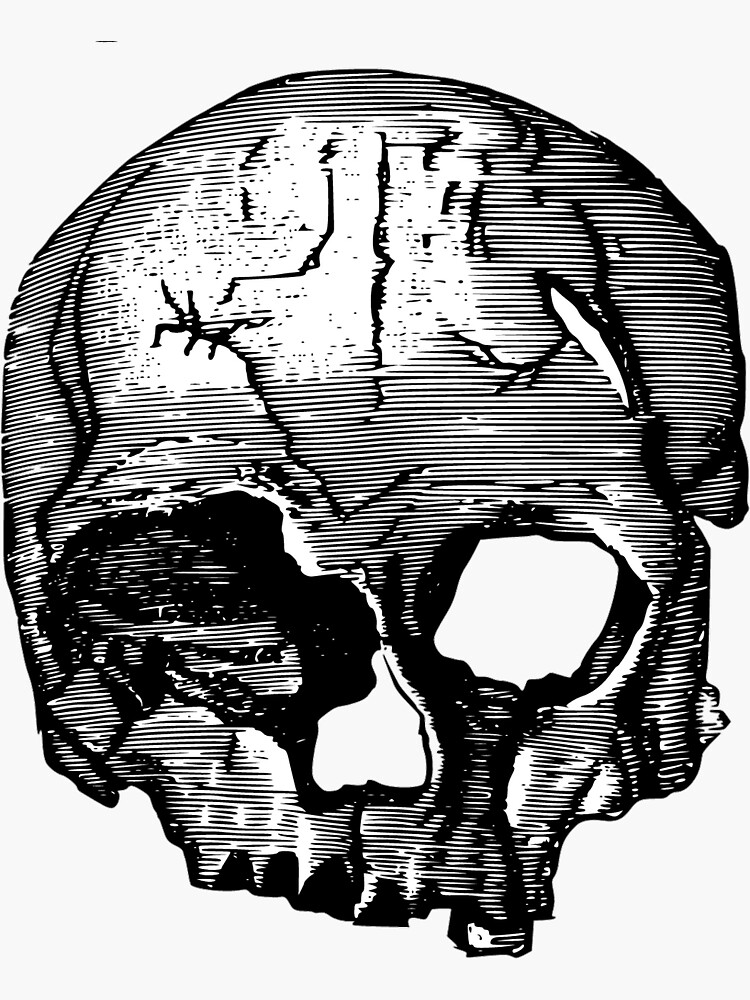 "Dark Medieval Woodcut Skull" Sticker for Sale by BrainWizard | Redbubble