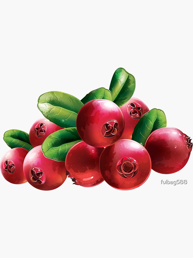 "cranberries sticker" Sticker by fulbag588 | Redbubble