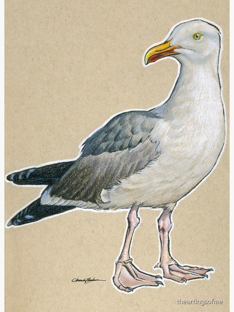 Utah State Bird Printable