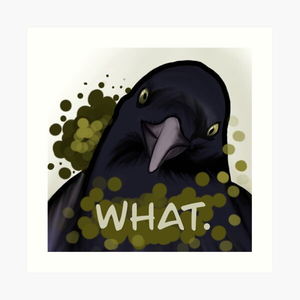 "Confused Crow Meme" Art Print for Sale by Seaohee | Redbubble