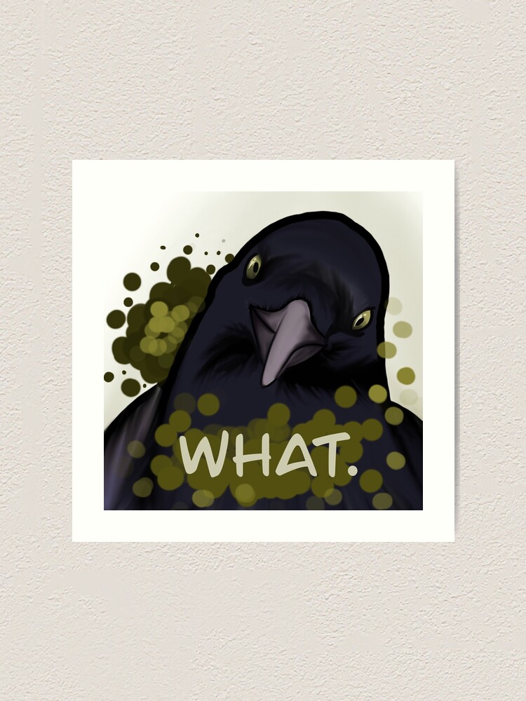 "Confused Crow Meme" Art Print for Sale by Seaohee | Redbubble