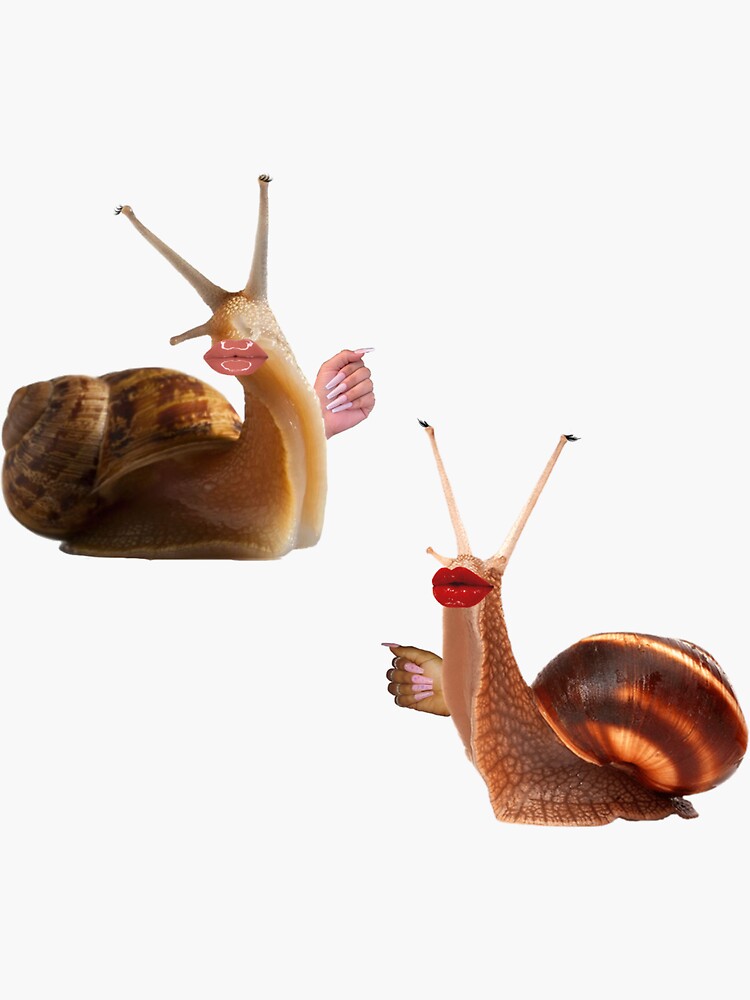 "snail baddie" Sticker by Charlottehappi | Redbubble