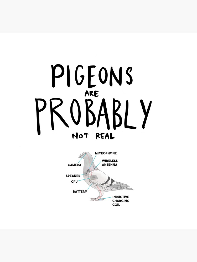 "Pigeons Are Probably Not Real" Sticker by Dawdoodler | Redbubble