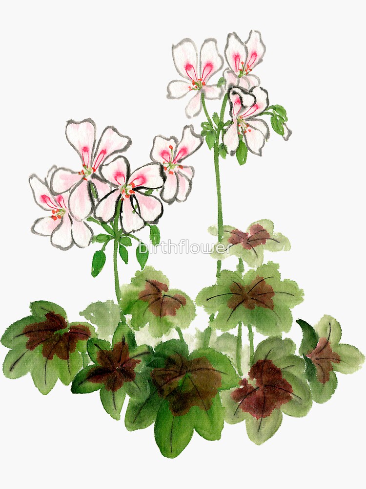 "July 9th birthday flower" Sticker for Sale by birthflower | Redbubble