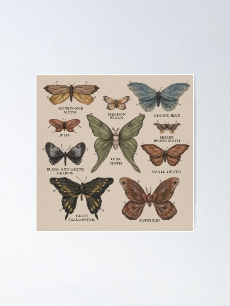 "dark academia" Poster for Sale by Magdartist | Redbubble