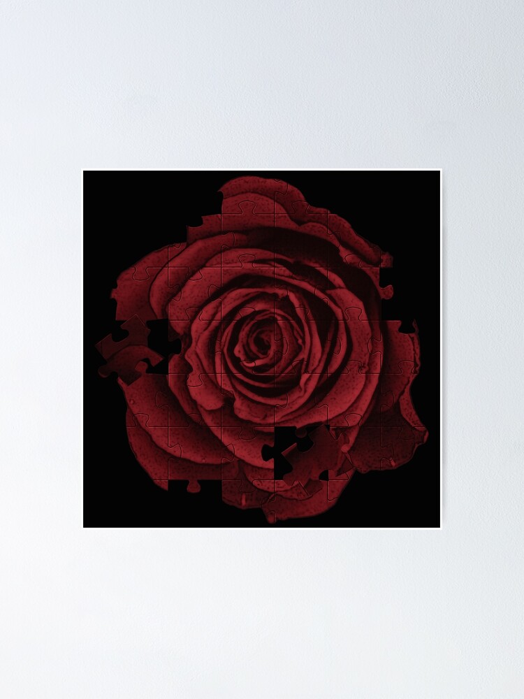 "Rose pattern Puzzle optics, unusual flower patterns, noble motifs ...