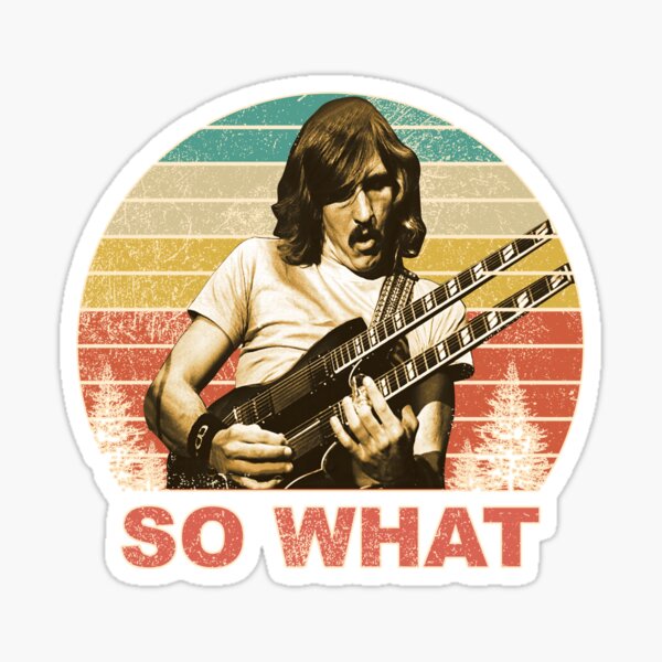 "2022 so what" Sticker by kimberlywet | Redbubble