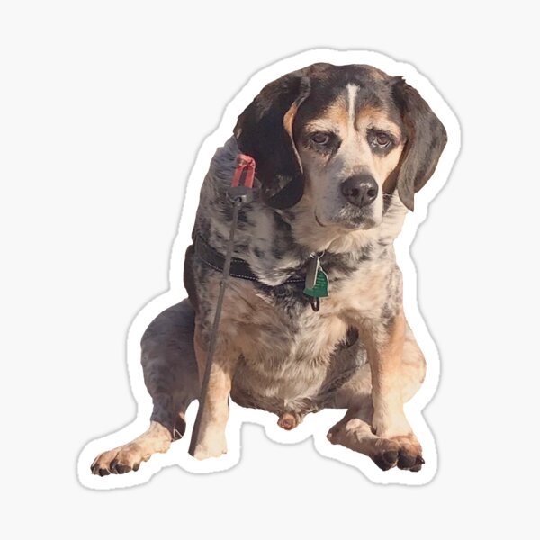 "sad dog " Sticker for Sale by phantasmos | Redbubble