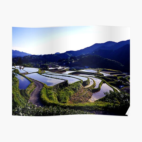 "Japanese Rice Farm" Poster for Sale by CriticalC404 | Redbubble