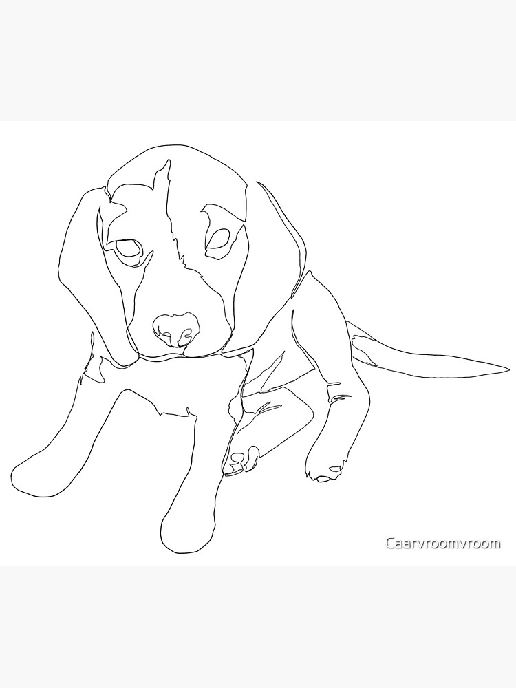 "Beagle line art" Poster for Sale by Caarvroomvroom | Redbubble